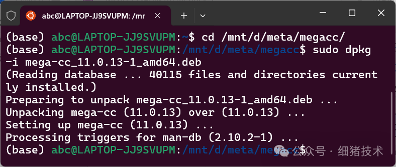 MEGA-CC程序使用方法 - 知乎