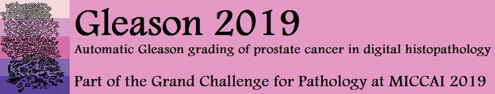 Gleason 2019 数据集介绍 - 知乎