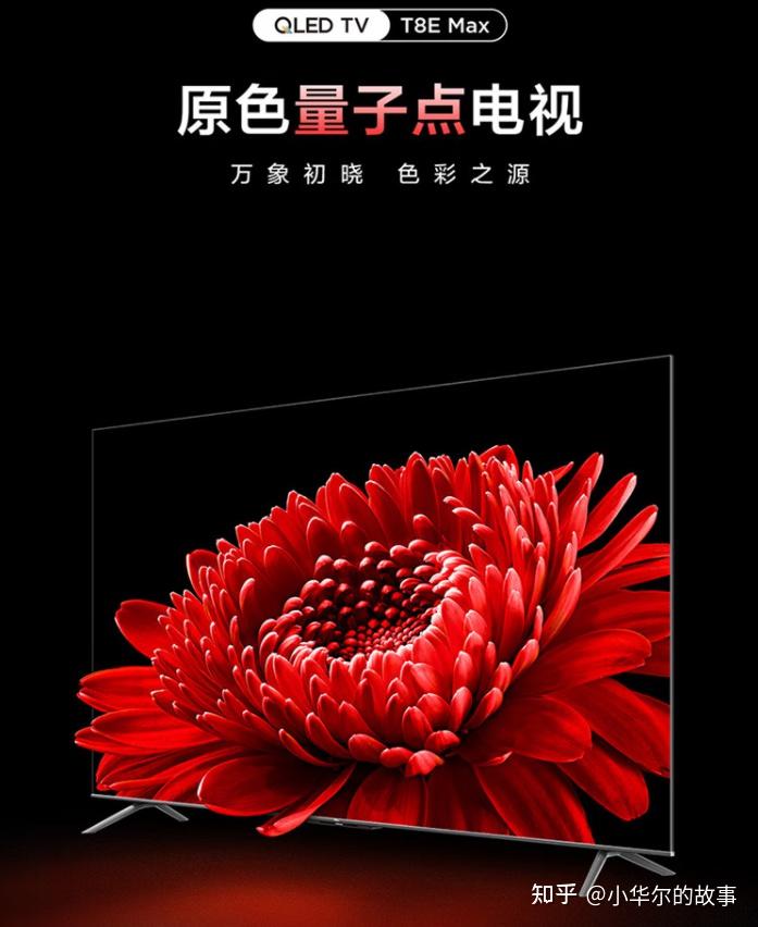 只看电视不打游戏，TCL T8EMax ，海信 E5H，雷鸟 S535D S545C 选哪个？