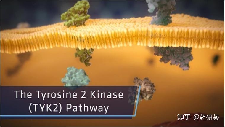 首款 TYK2 抑制剂获批，这对斑块状银屑病患者治疗带来哪些帮助？ - 知乎