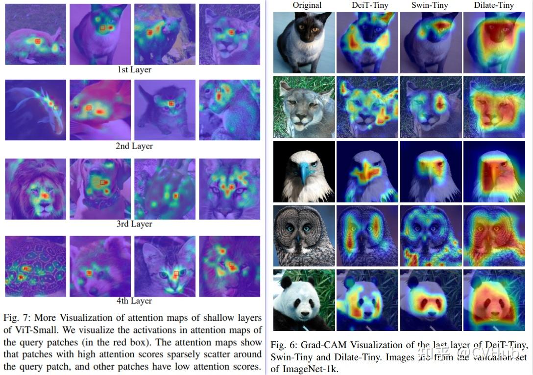 中科院一区顶刊 | DilateFormer: 即插即用的多尺度全局注意力机制(附源码实现) - 知乎