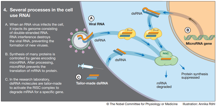 RNAi技术：先锋公司Alnylam - 知乎
