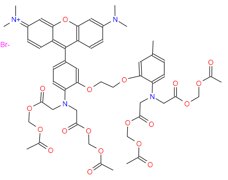 Rhod-2，AM Cell Permeant，可检测光感受器激活导致的钙离子释放 - 知乎