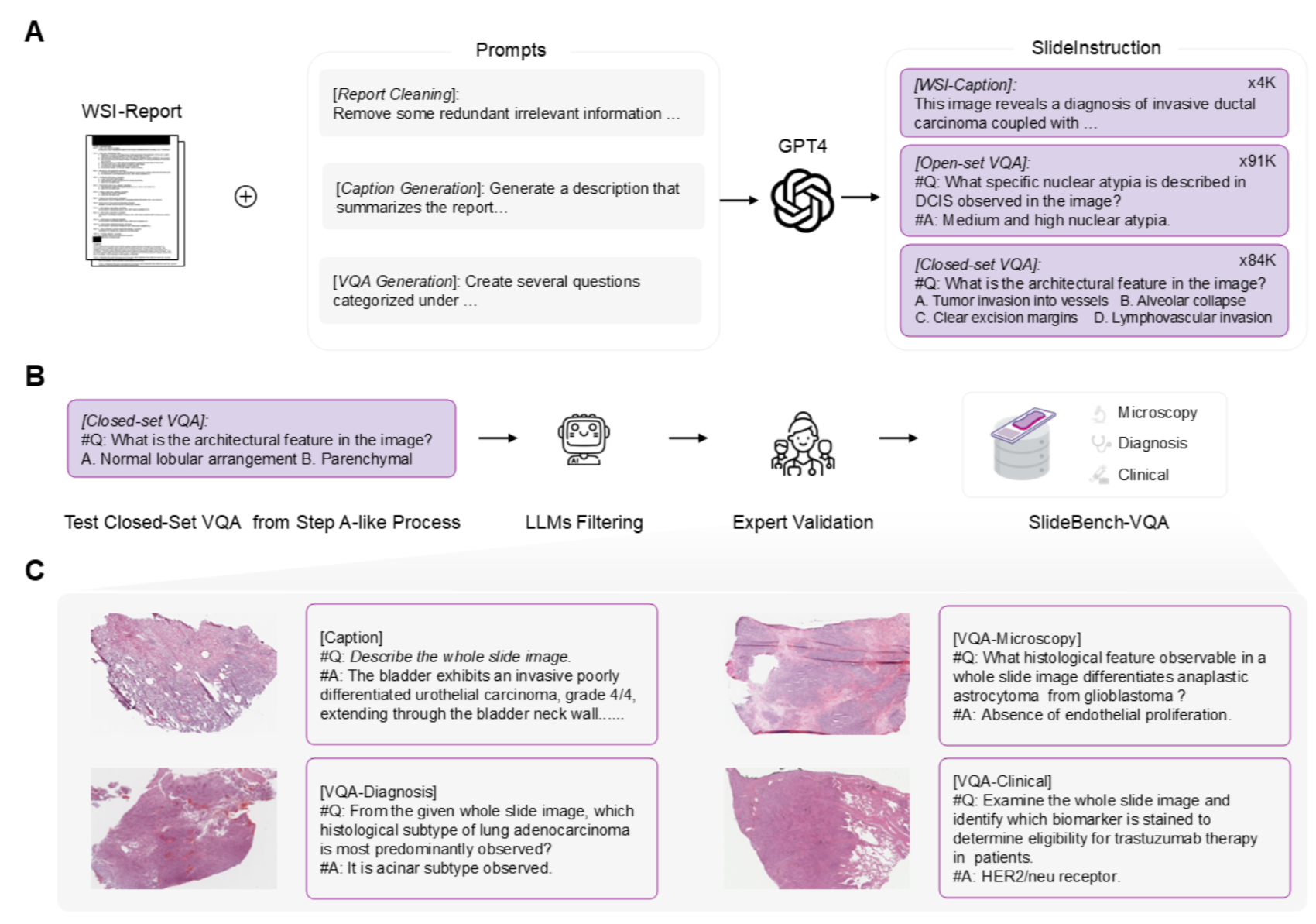 SlideChat：面向病理全切片图像理解的大型视觉-语言模型 - 知乎