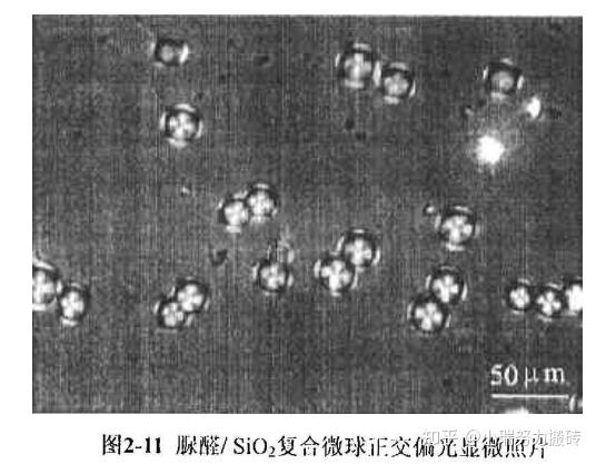 金磁纳米颗粒（100nm），Gold magnetic nanoparticles，粒径100 - 知乎