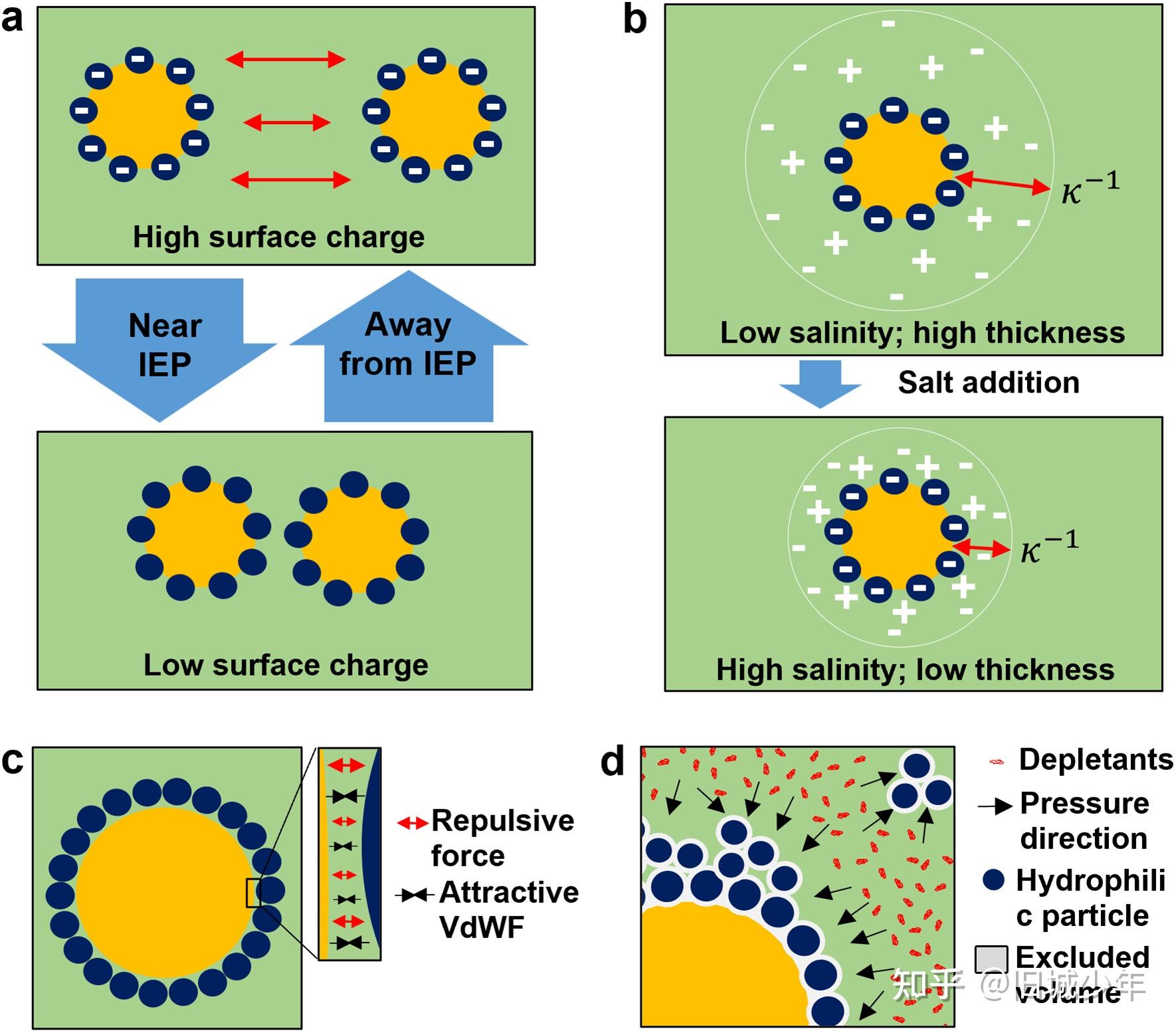 Pickering 双重乳液稳定化：基本概念、基本原理、制备方法、潜在应用、挑战和未来展望 - 知乎