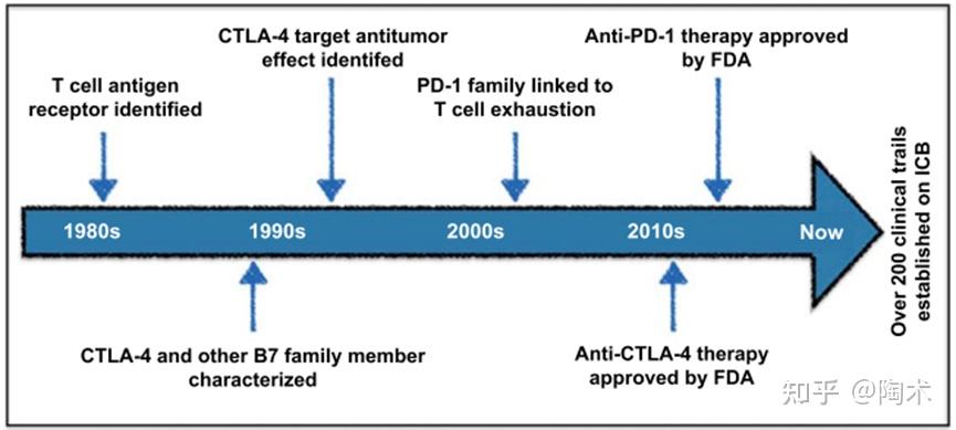 免疫检查点（Immune checkpoint）的功能是什么？ - 知乎