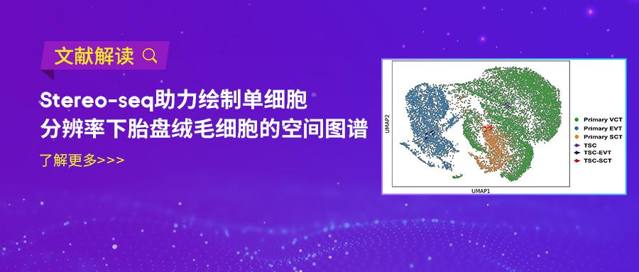 Sci. Adv. | Stereo-seq揭示肾上腺髓质素在胎盘发育和早发型子痫前期发病机制中的作用 - 知乎