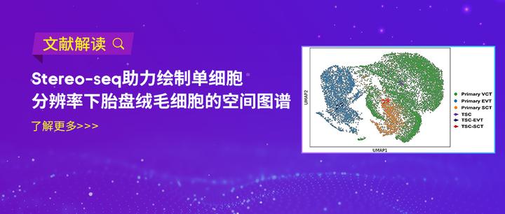 Sci. Adv. | Stereo-seq揭示肾上腺髓质素在胎盘发育和早发型子痫前期发病机制中的作用 - 知乎