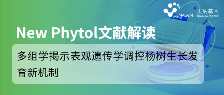 New Phytol详解 | 多组学揭示表观遗传学调控杨树生长发育新机制 - 知乎