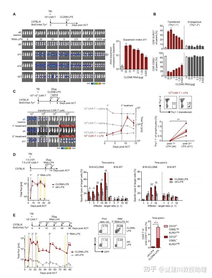 新一代CAR-T疗法实体瘤疾病控制率达71%，总缓解率达33%，有人实现CR！ - 知乎