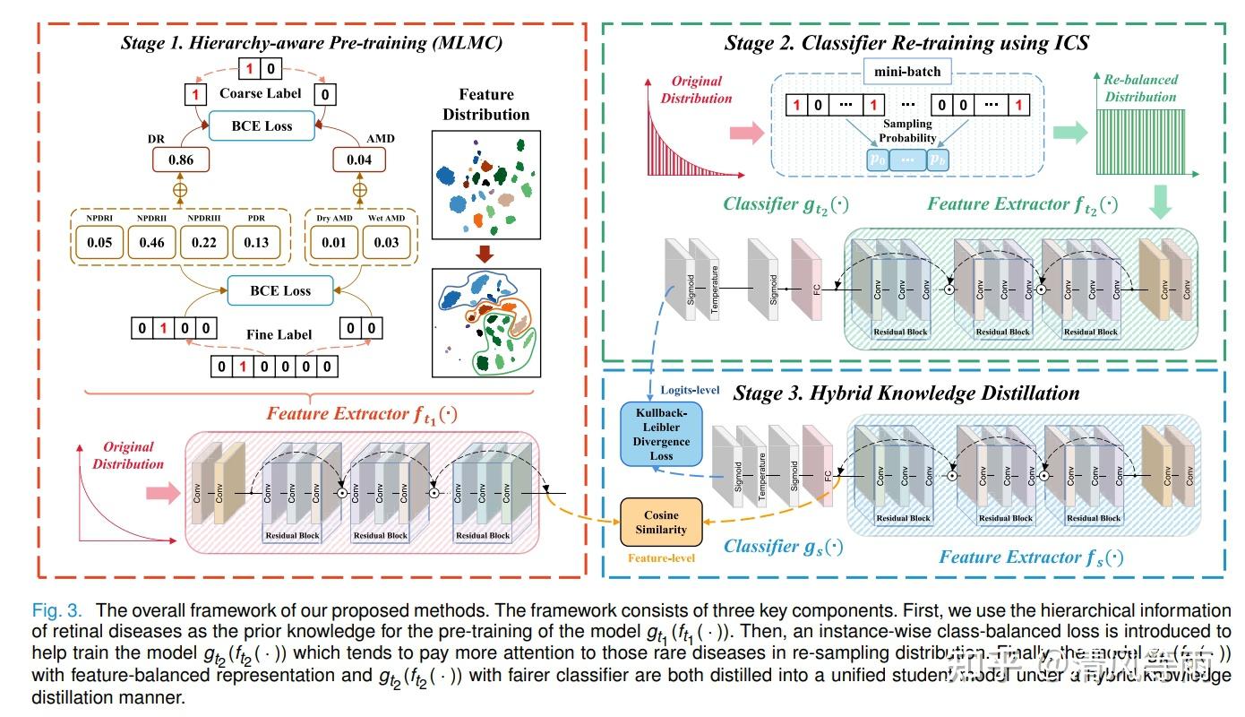 IEEE Transactions on Medical Imaging(TMI)论文推荐：2024年01月(2) - 知乎