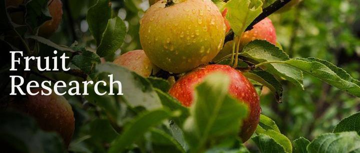 苹果果实生长发育过程中表皮蜡质的化学组成和形态特征研究 - 知乎