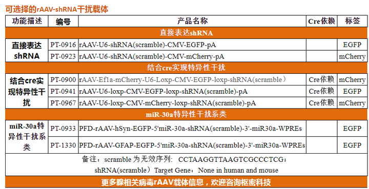 基因沉默shRNA载体设计与构建 - 知乎