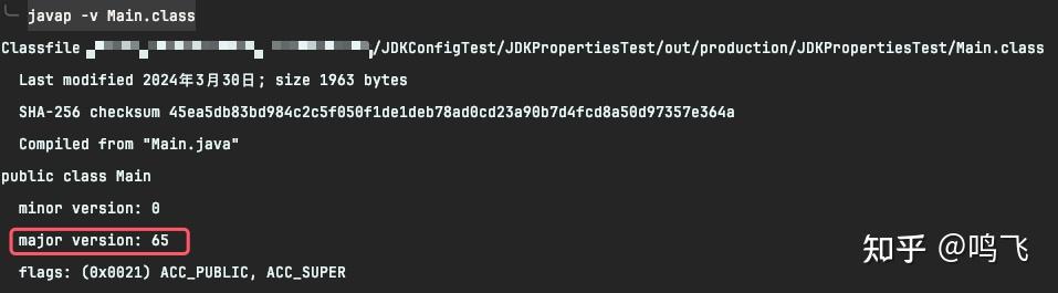 大佬们最近学java，这个IDEA上配置的这个东西是什么意思？ - 知乎