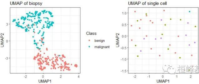 MachineLearning 13. 机器学习之降维方法UMAP及可视化 (umap) - 知乎