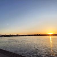 seurat数据对象转换为h5ad格式 - 知乎