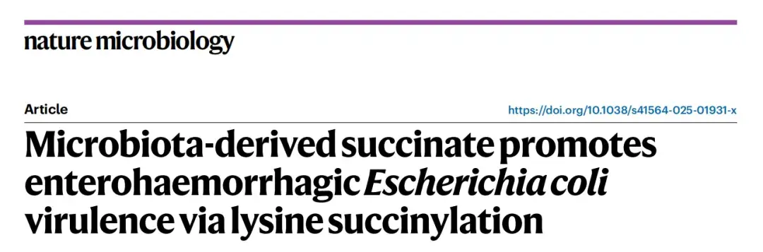 Nat Microbiol | 南开大学/天津医科大学团队：琥珀酰化促进肠道菌群“黑化”致病 - 知乎
