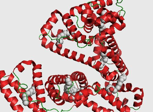 Deferoxamine-PEG-BSA，BSA-PEG-DFO,去铁胺-聚乙二醇-牛血清白蛋白 - 知乎