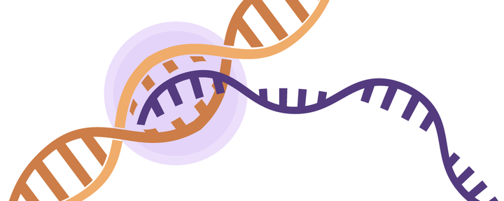 高通量、低成本的RNA-seq：3'-Digital Gene Expression (3'-DGE) - 知乎