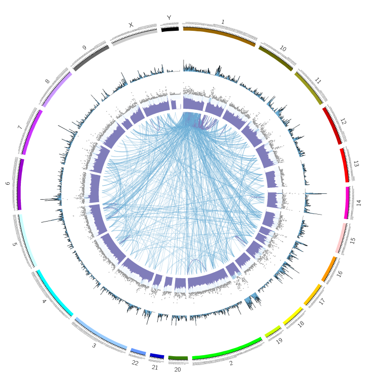 可视化指南 | 用Circos图展示复杂的基因组特征与多样化数据 - 知乎