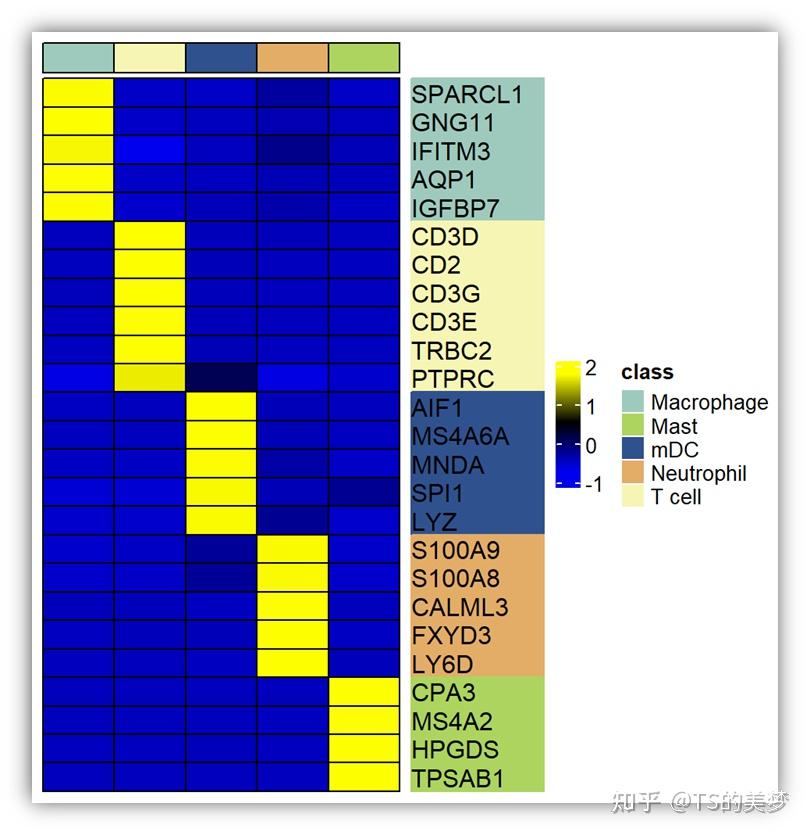 单细胞marker基因平均表达量热图 - 知乎