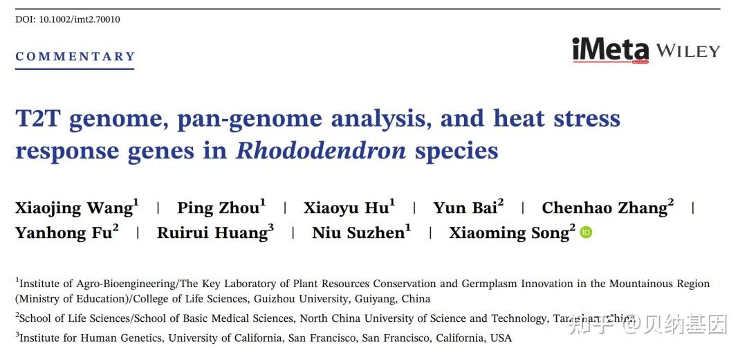 iMeta解读 | 杜鹃花属T2T基因组、泛基因组分析及热应激响应基因研究 - 知乎