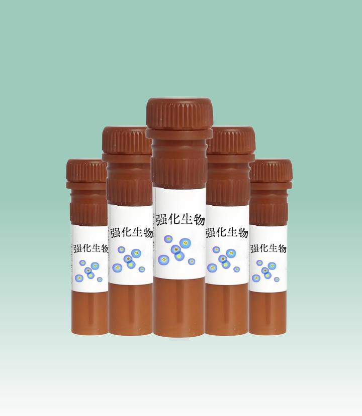 Cal-520 AM，Cell Permeant 钙离子荧光探针，作用机制 - 知乎