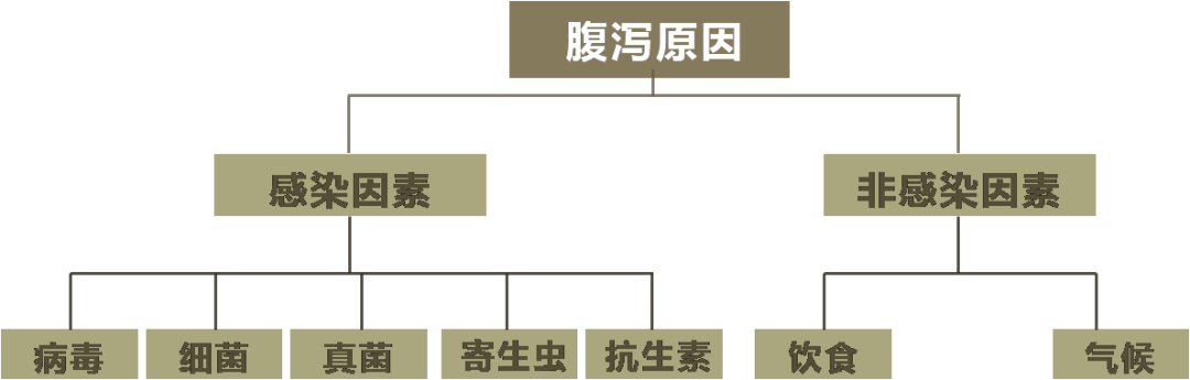 夏季腹泻高发，肠道健康怎么呵护？ - 知乎