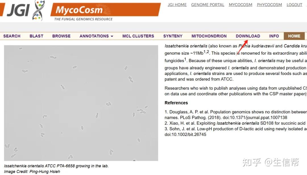 【干货】MycoCosm真菌基因组数据库下载详细介绍 - 知乎