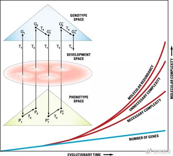 Genome Med综述：遗传学与精准医学 - 知乎