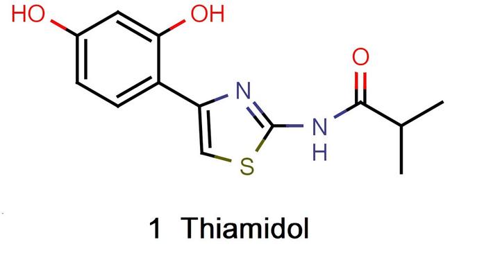 凡可成分说|地表最强美白成分Thiamidol有多强？ - 知乎