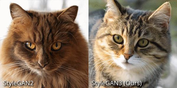 训练styleGan需要多大显存？ - 知乎