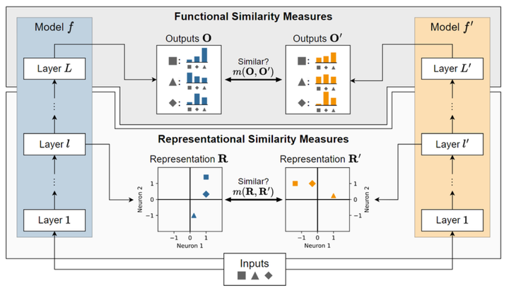 SIMILARITY OF NEURAL NETWORK MODELS: A SURVEY OF FUNCTIONAL AND REPRESENTATIONALMEASURES（神经网络模型的 ...