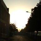 RESDSQL: Decoupling Schema Linking and Skeleton Parsing for Text-to-SQL ...