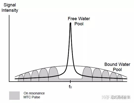 什么叫做磁化传递MTC？ - 知乎