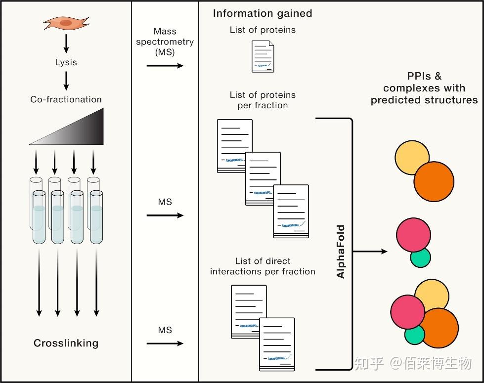 干货分享：CELL综述蛋白质与蛋白质（PPI）相互作用 - 知乎