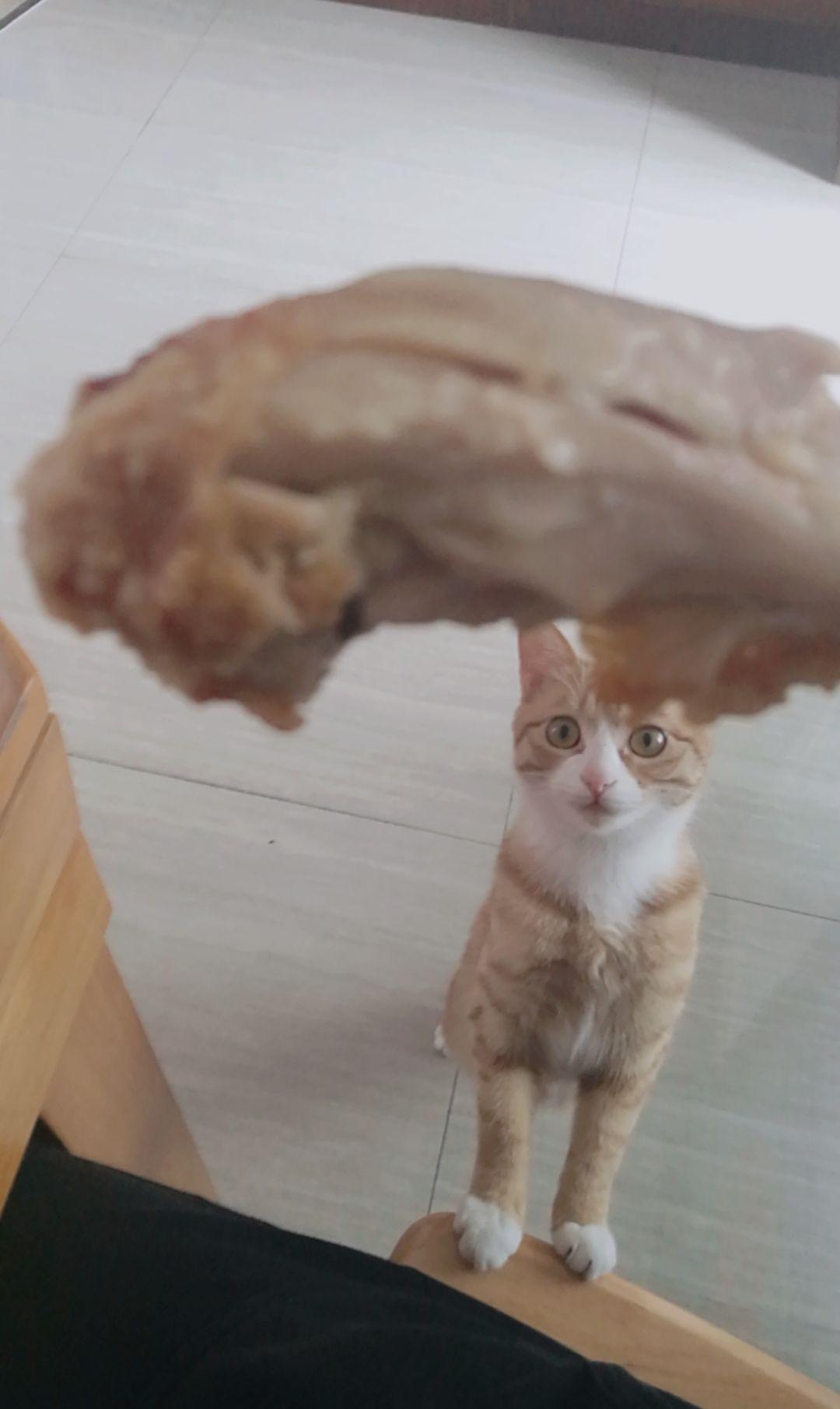 麦麦脆汁鸡和吮指原味鸡哪个好吃？ - 知乎