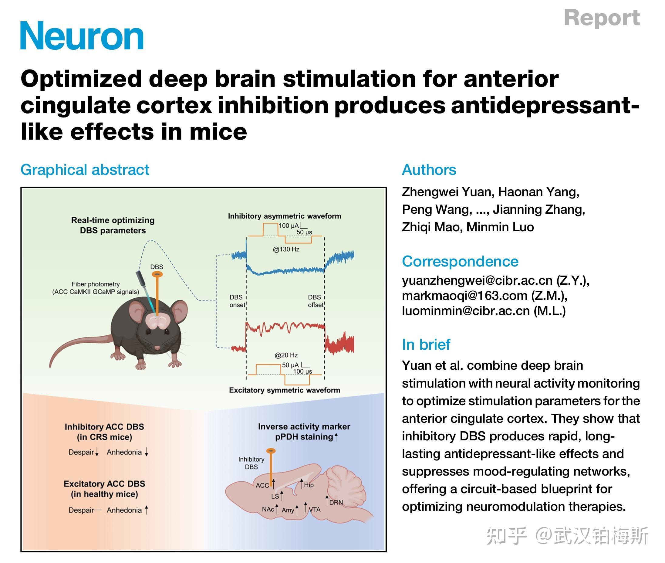 钙成像技术在神经科学研究中如何应用？ - 知乎