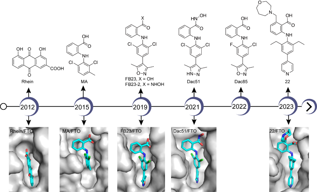国科大杭州高等研究院/上海药物研究所杨财广课题组Acc. Chem. Res.：化学干预靶向致癌m6A修饰蛋白效应 - 知乎