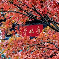 一文了解EVA、EAA、EEA、EMA、EMMA - 知乎