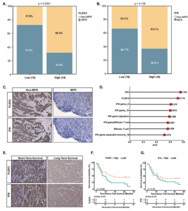 高分SCI无人区来了！FFPE单细胞技术解锁临床回顾性研究新选题 - 知乎