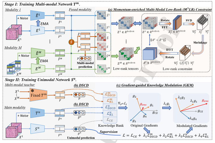 [论文笔记] | MedIA 2023 Gradient modulated contrastive distillation of Low-Rank Multi-Modal ...