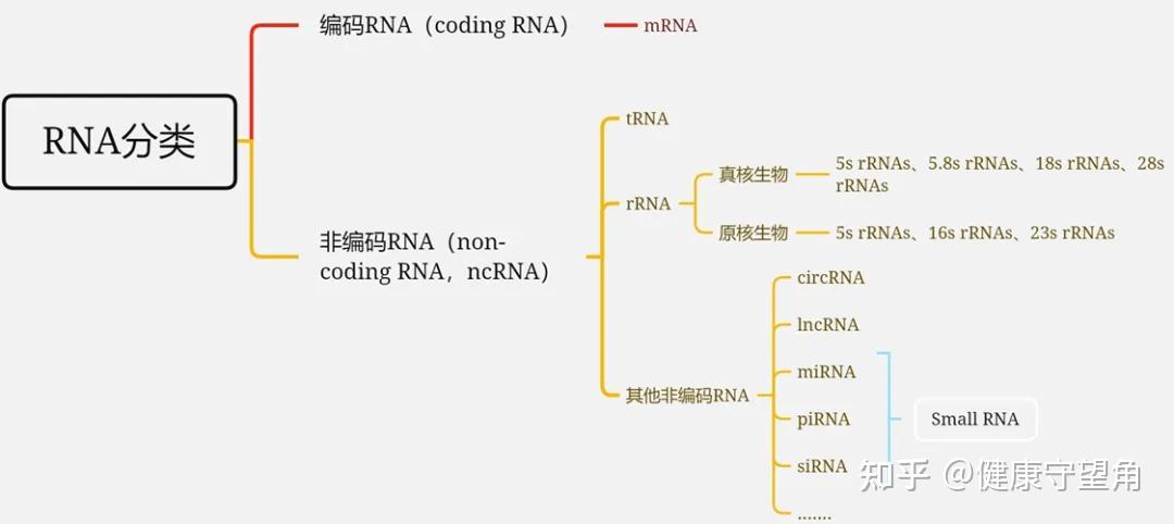 NGS丨如何使用RNA构建NGS文库？ - 知乎