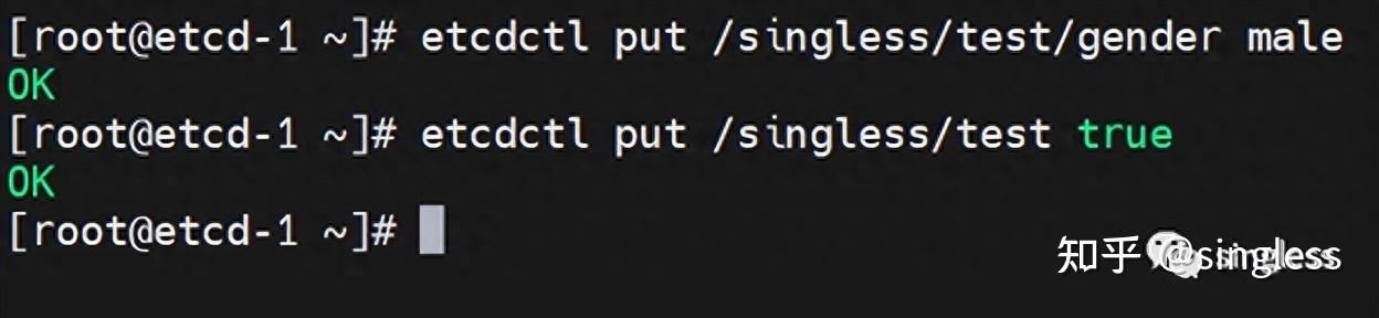 K8S核心组件etcd详解(上) - singless233 - 博客园