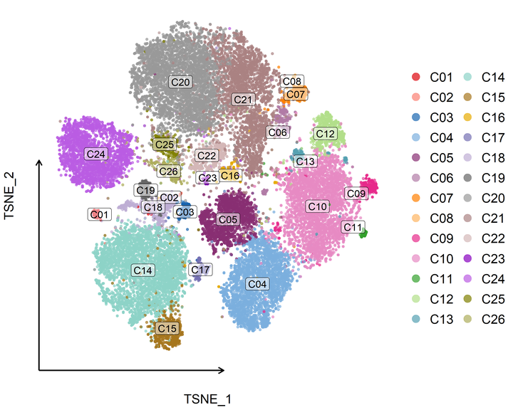 利用ggplot2画发文章级别的TSNE图 - 知乎