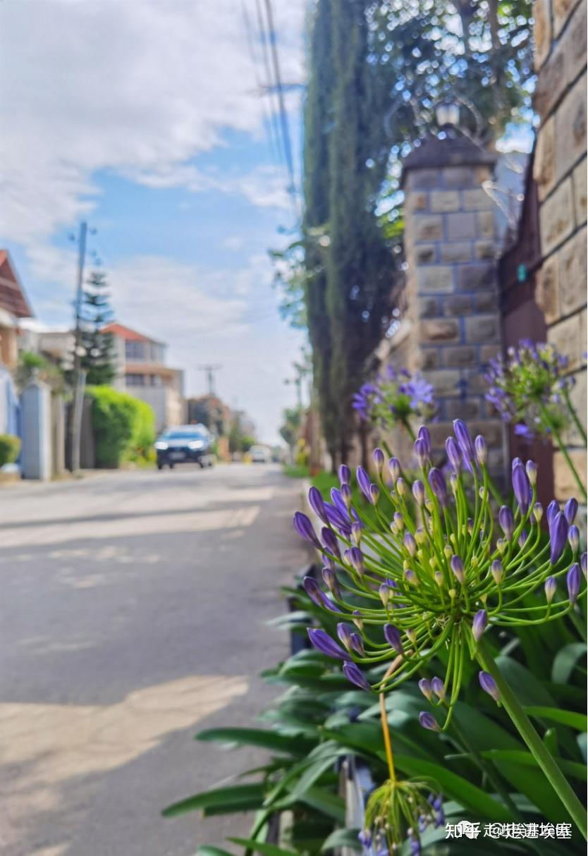 亚的斯亚贝巴风光掠影，超治愈！ - 知乎