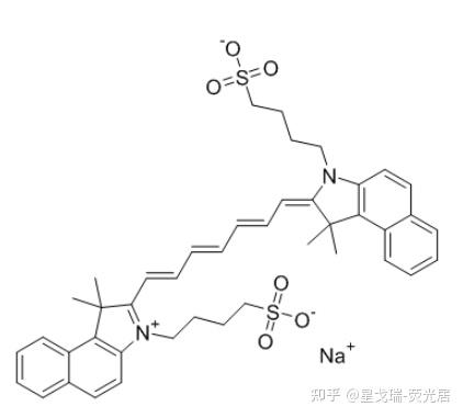 荧光标记亲和素-FITC、CY3、RB星戈瑞 - 知乎