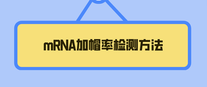 mRNA加帽率检测方法 - 知乎