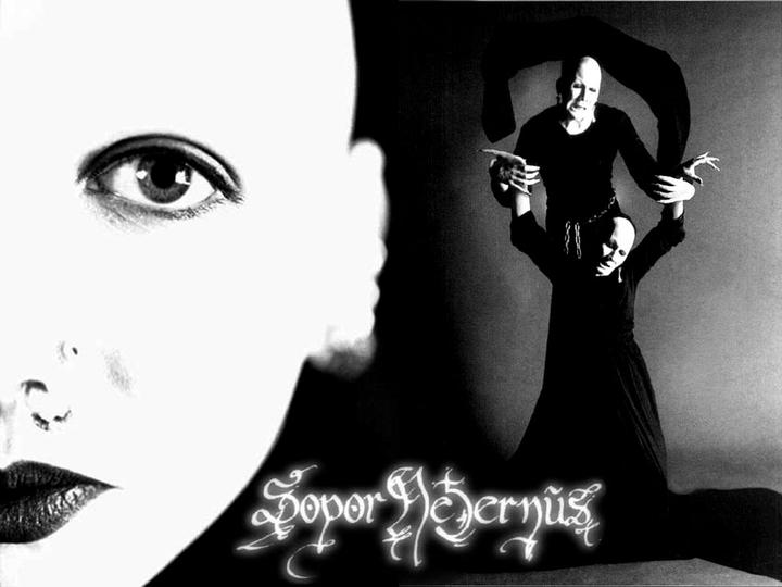 喜欢的音乐人（99）：Sopor Aeternus & the Ensemble of Shadows - 知乎